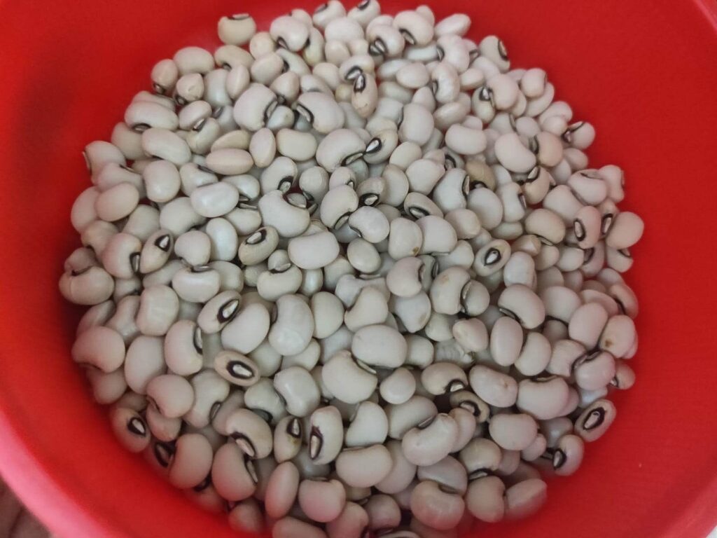 Cowpea Sundal | Lobia Sundal | Thatta Payiru Sundal Recipe - nams corner